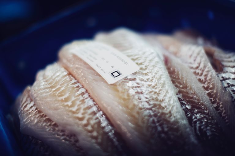 Understanding the Atlantic cod Quinlan Brothers Quality process