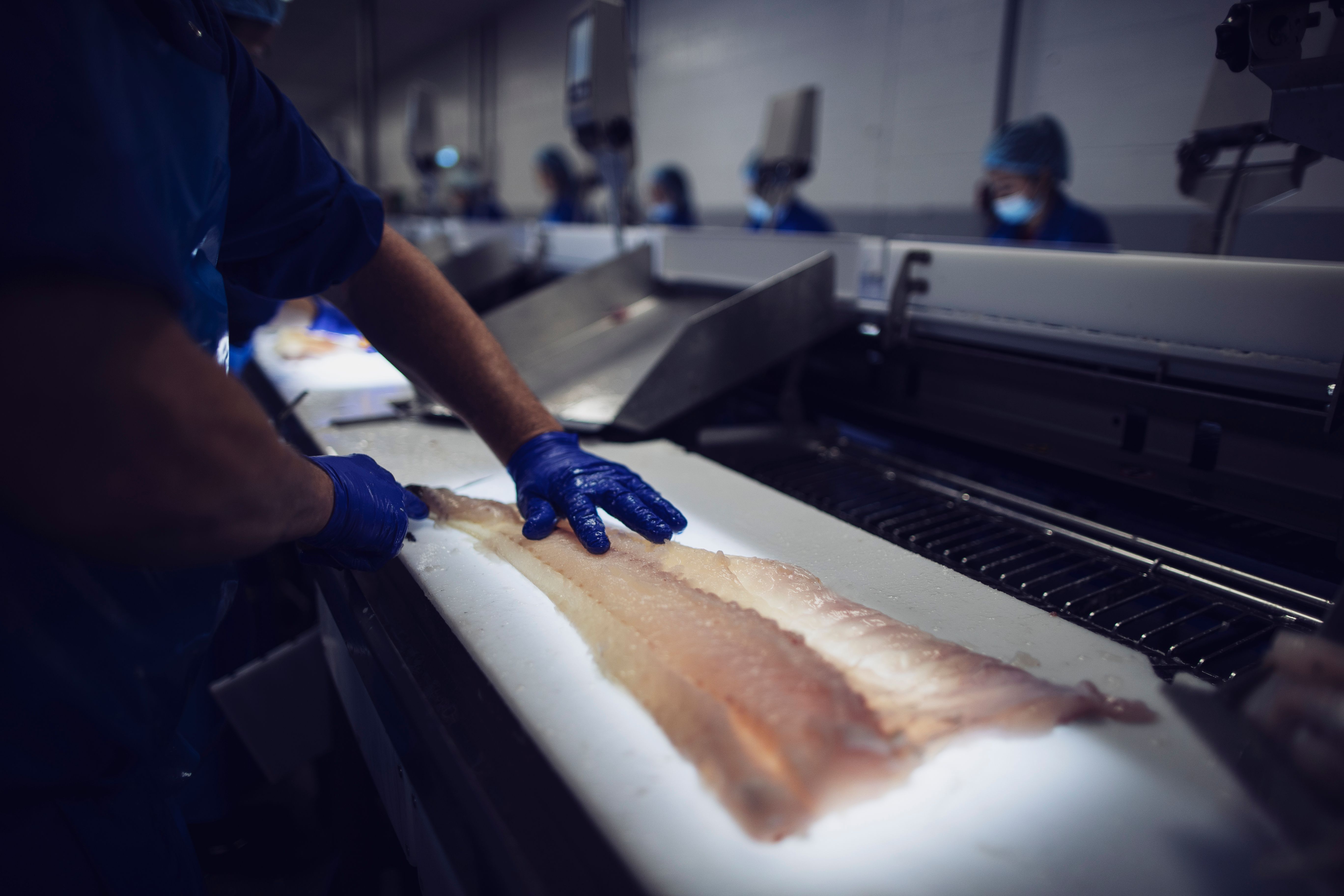Sustainable Atlantic Cod Fillets | Canada’s Finest