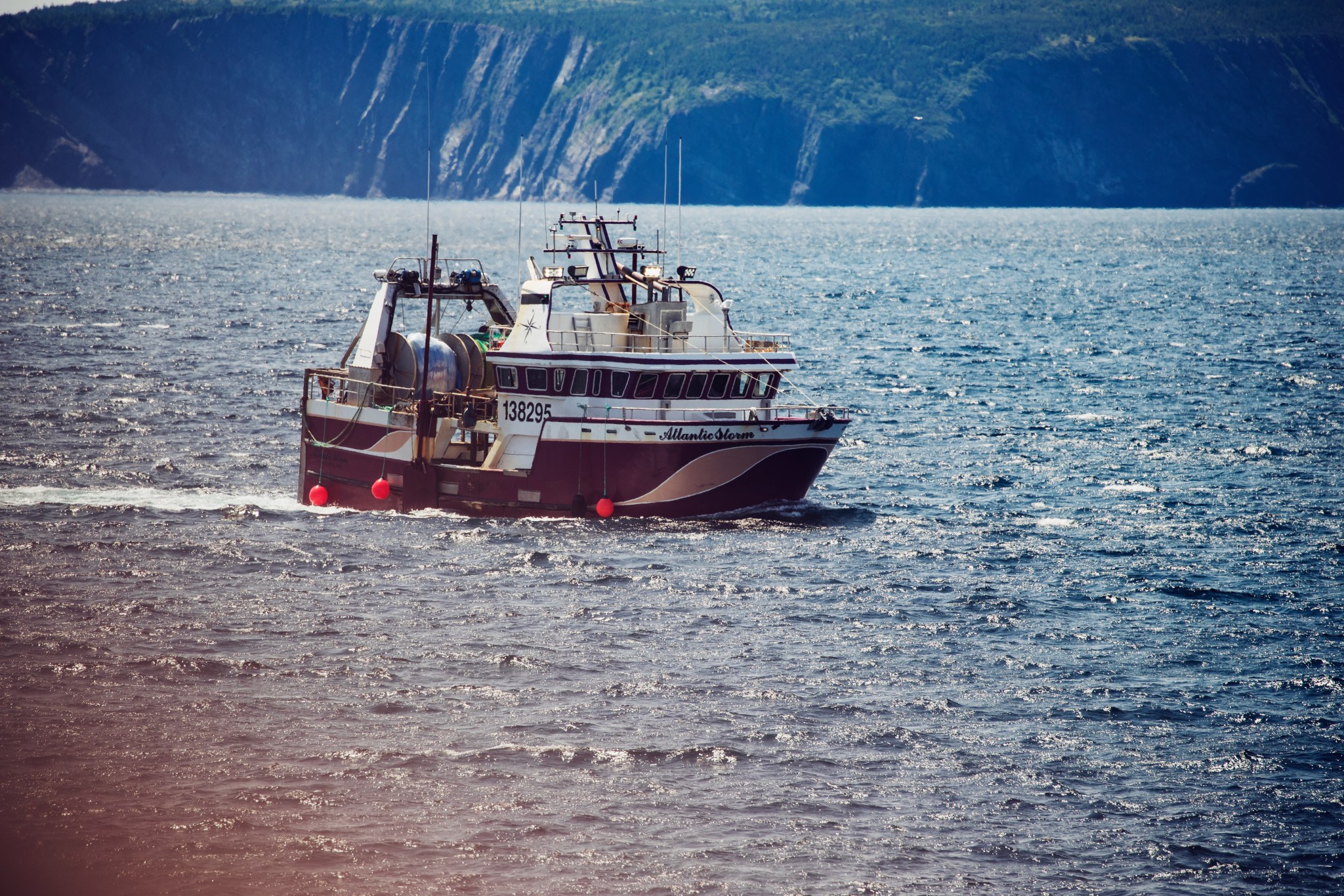 Wild Caught Atlantic Cod in NL | Quinlan Brothers Ltd. Seafood